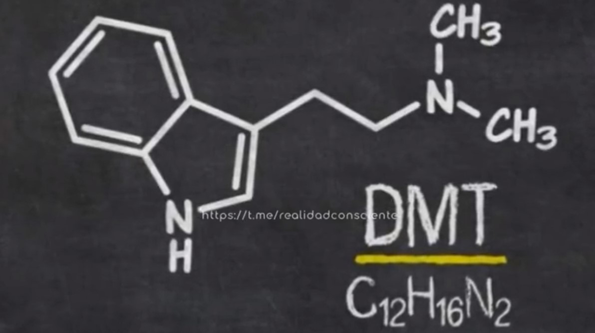 DMT, LA MOLÉCULA DE DIOS (DOCUMENTAL DE LA QUINTA COLUMNA) – La Quinta Columna TV